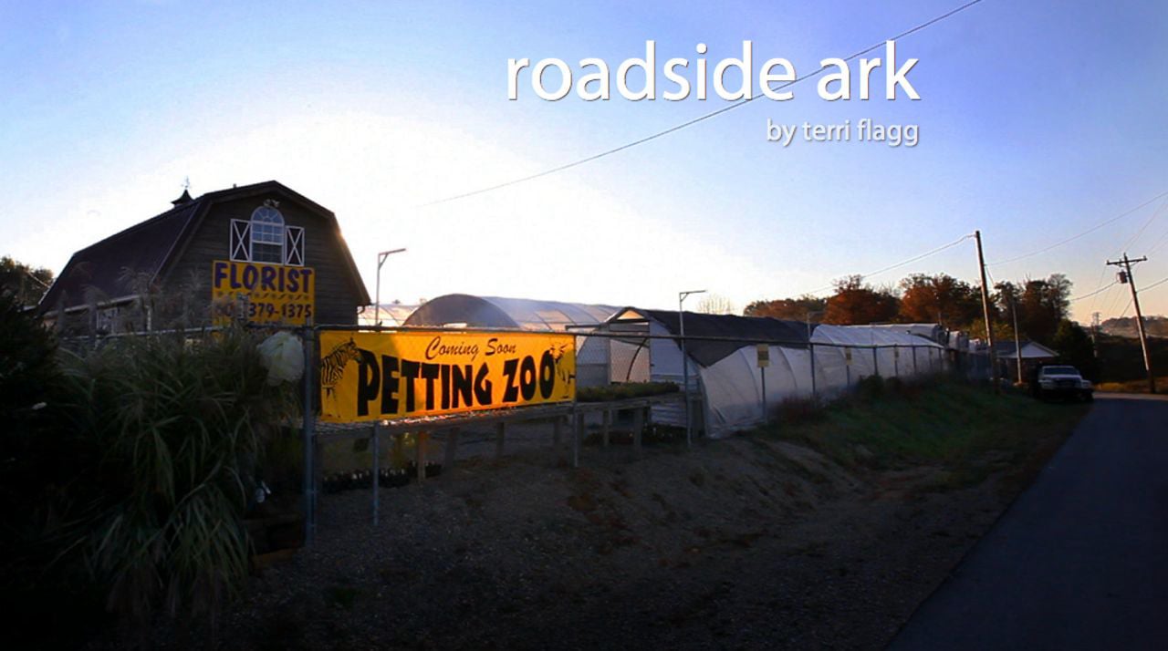 Roadside Ark by Terri Flagg on Vimeo