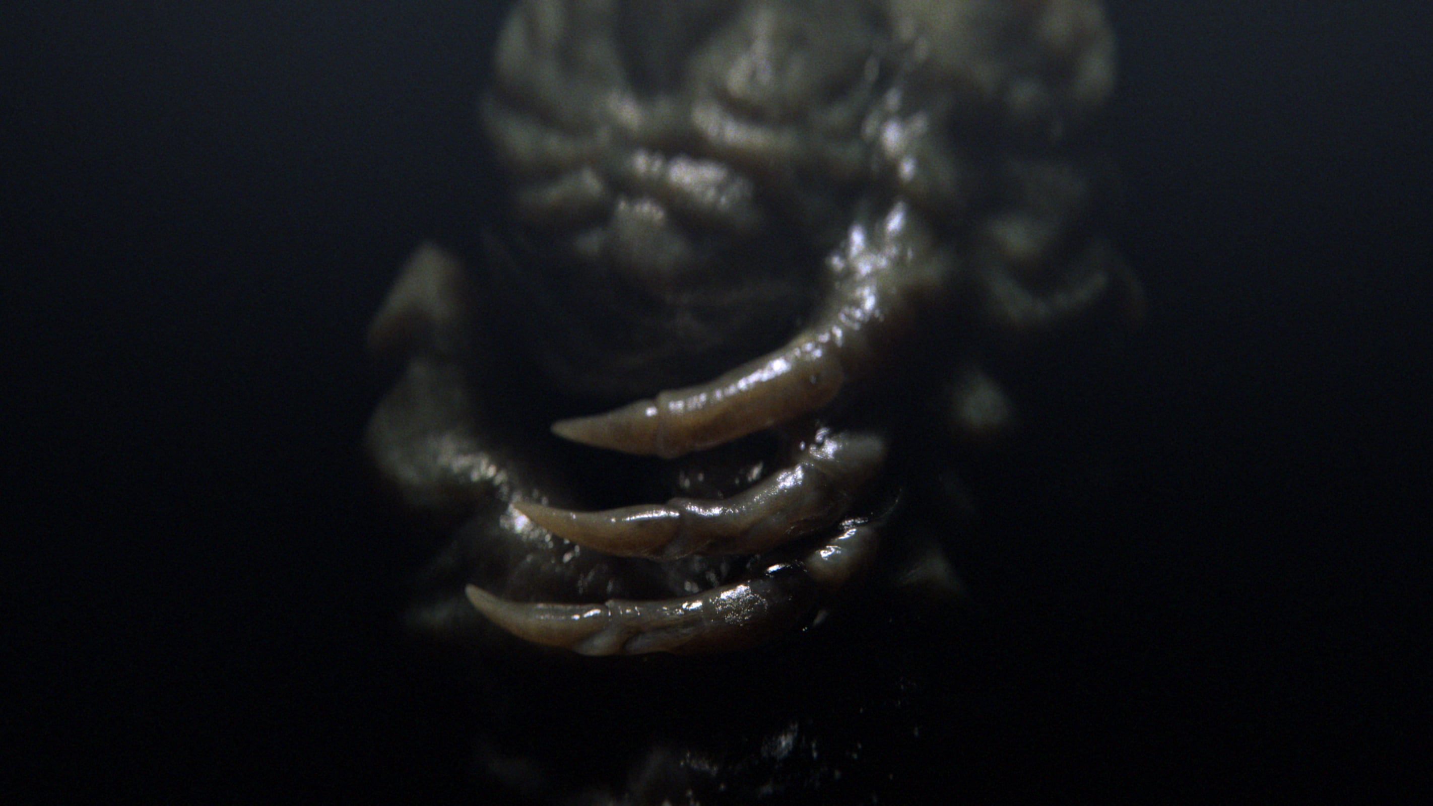 Alien Gestation