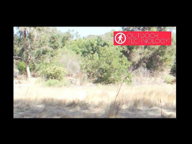 Survival on Vimeo