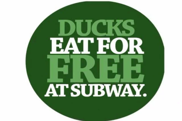 Mitch Hedberg - Ducks eat for free at Subway on Vimeo