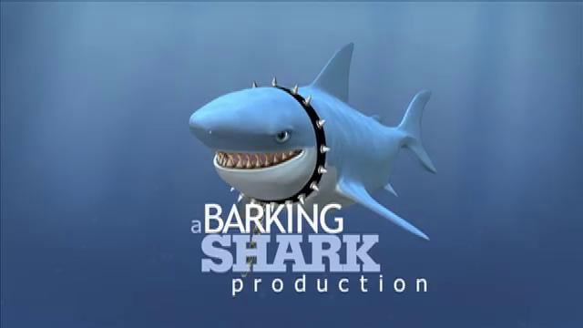 Barking Shark Creative on Vimeo