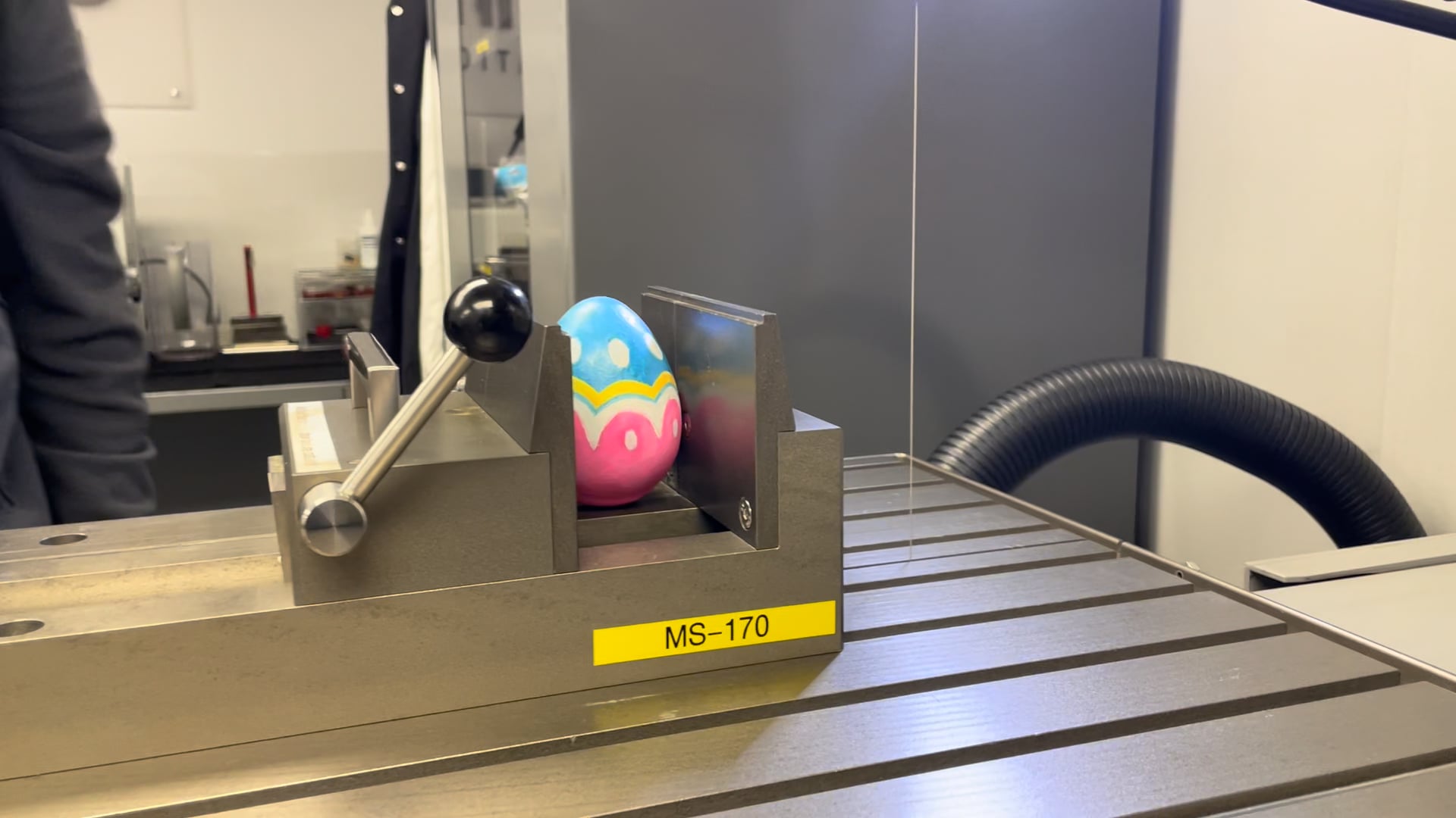 An Egg-cellent Cut | Videos & Movies on Vimeo