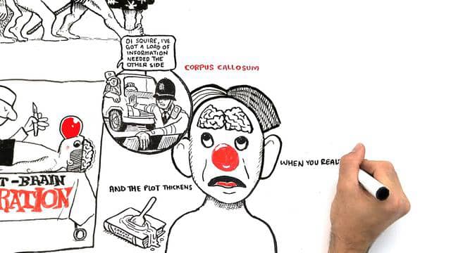 RSA Animate - The Divided Brain on Vimeo