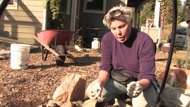 Planting Garlic at Maha Farm on Vimeo