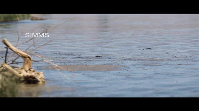GOLDFISH on Vimeo