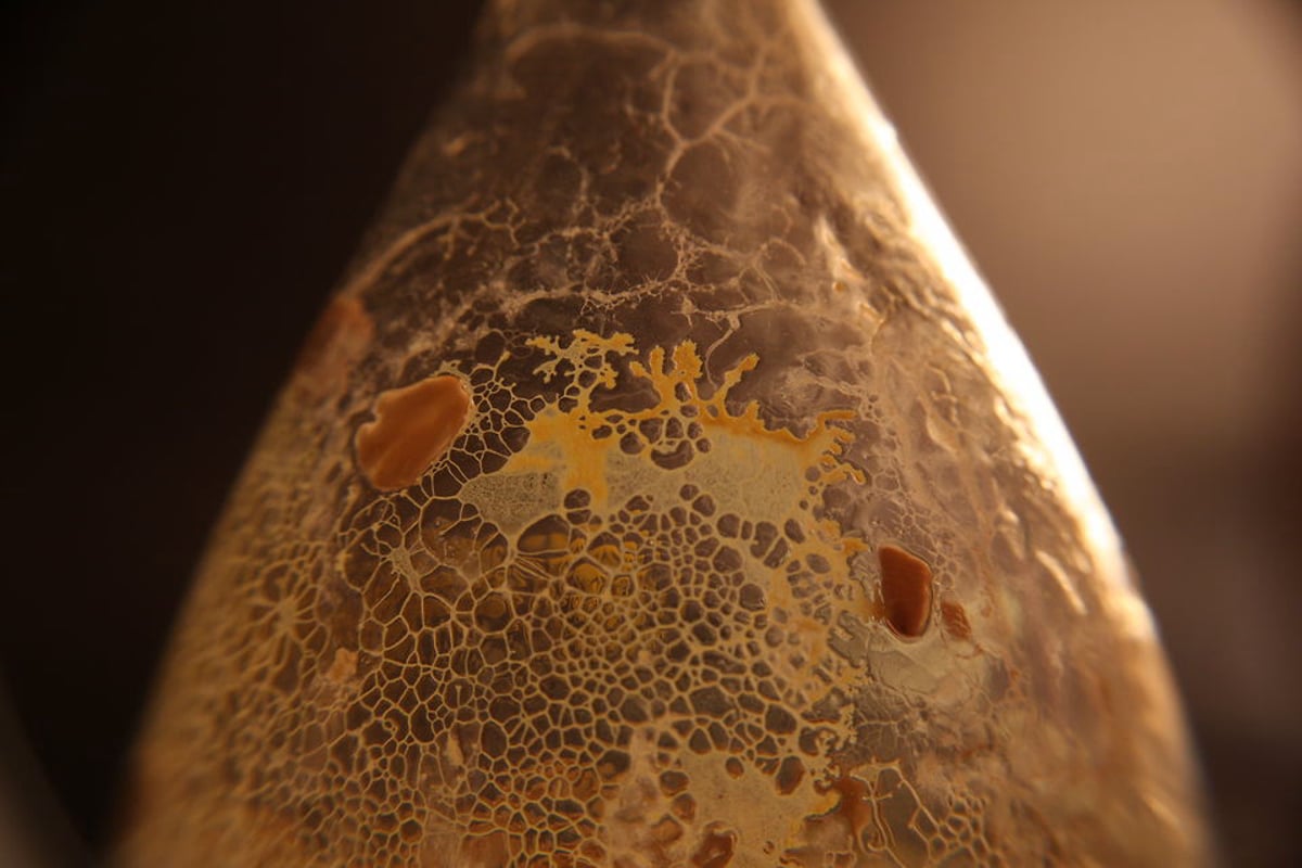 Slime Mold Experiments on Vimeo