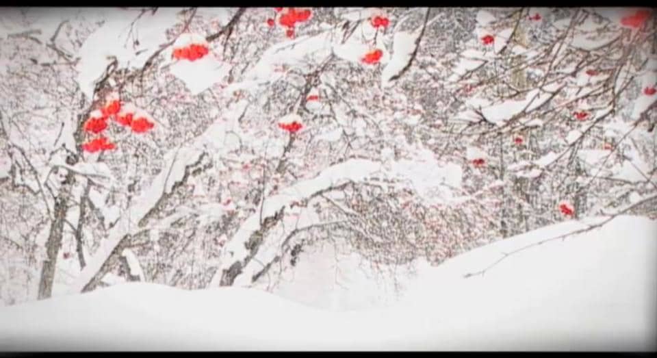 Brian Rein Morris - The Best It's Ever Been on Vimeo