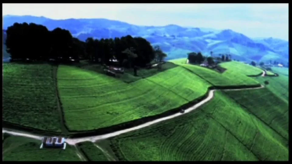 Primus Beer Rwanda: "National Pride" on Vimeo