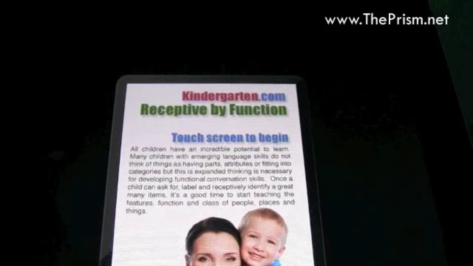 App ABA Receptive by Function