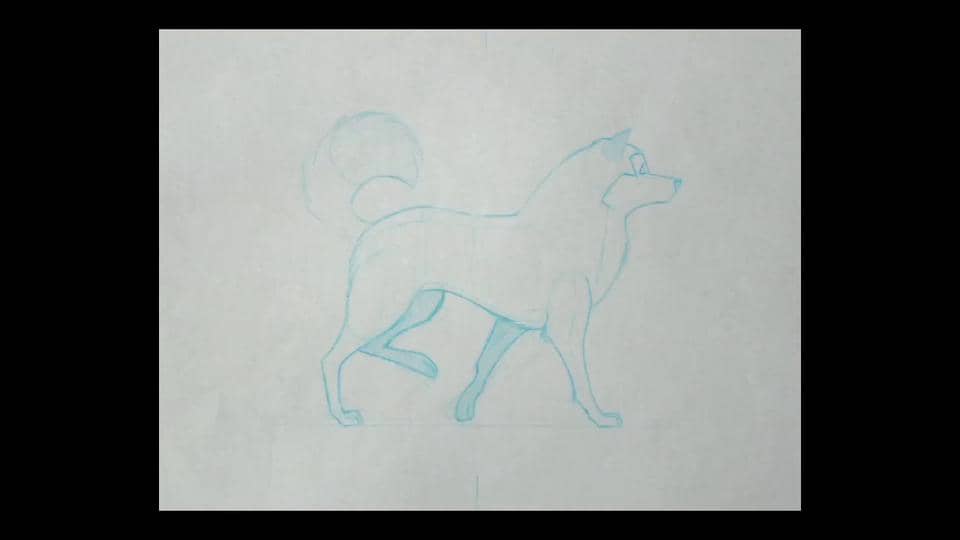 Kristof Serrand: Husky & Dog Walks on Vimeo