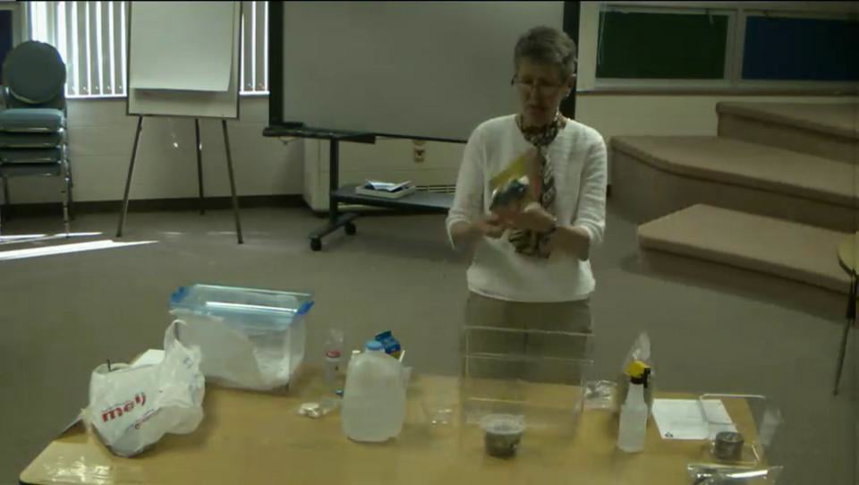 Hermit Crab Habitat Set-Up 5LS-Activity 3 on Vimeo