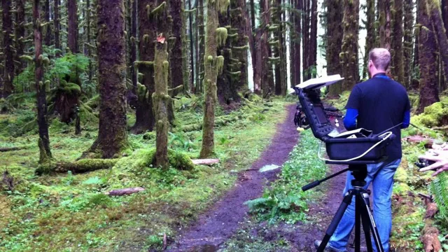 Fedex Ad Enchanted Forest