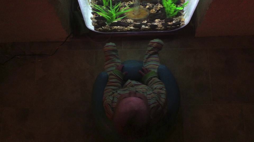 Esme & the Fish on Vimeo