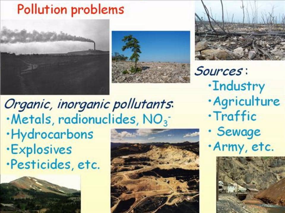 Bioremediation of Contaminated Elements - Elizabeth A.H. Pilon-Smits ...