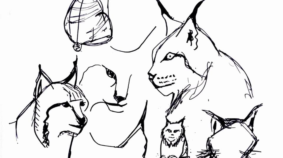 Annette ten Cate - Artist in Residence 2012 on Vimeo