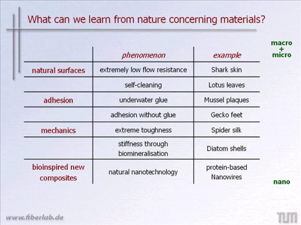 Bio-inspired Materials - Thomas Scheibel, Technical University Munich ...