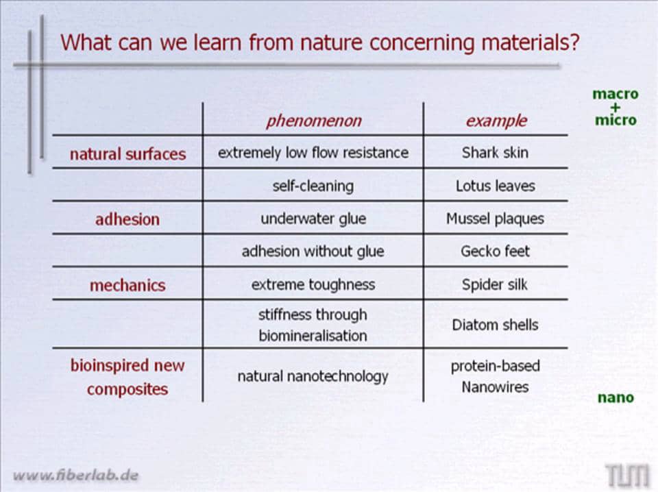 Bio-inspired Materials - Thomas Scheibel, Technical University Munich ...