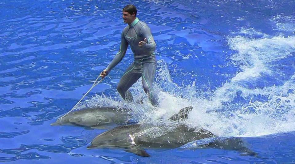 Dolphin Abuse PSA on Vimeo