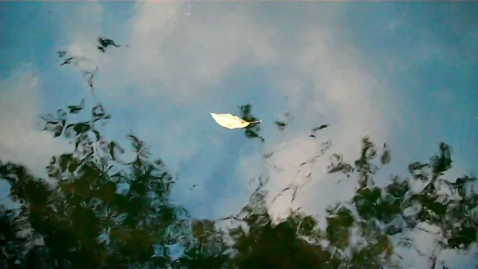 Divine Metaphysics - An Introduction on Vimeo