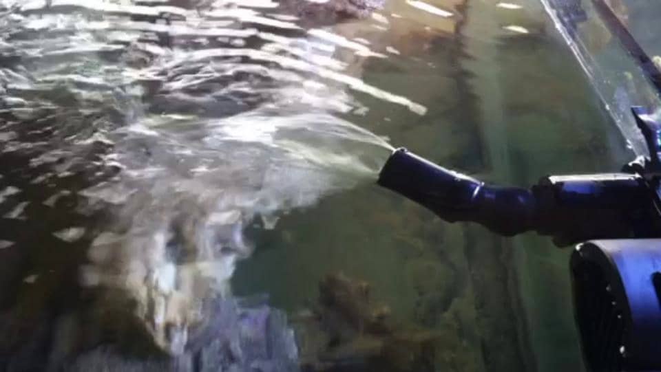 Overflow 2.1 Ocean Life on Vimeo
