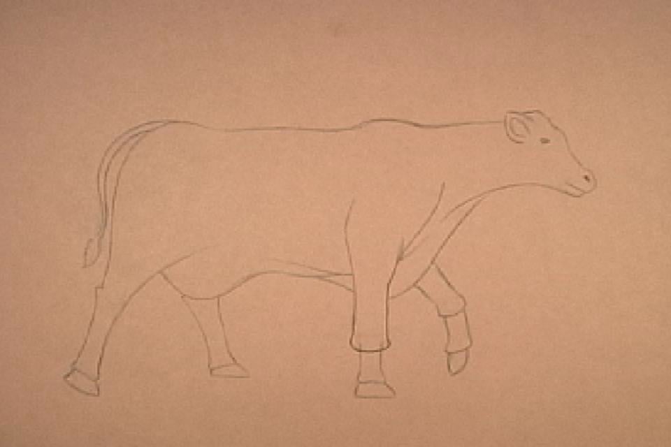 Cow Walk Cycle on Vimeo