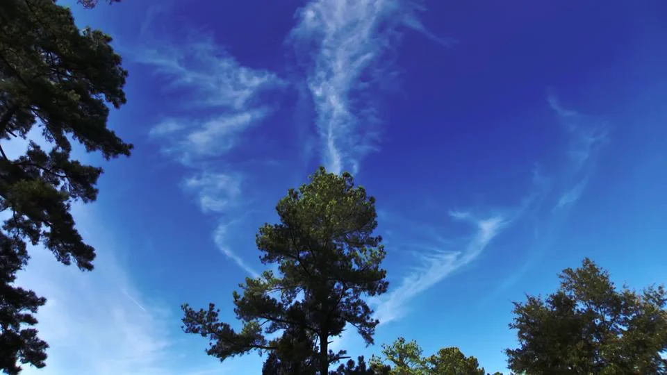 Panasonic AG-AC130 Test