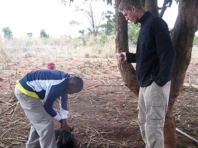 Goat killing in Africa on Vimeo