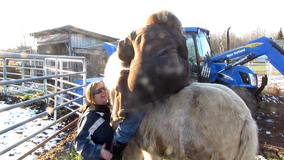 Adventures at Poco Loco Ranch on Vimeo