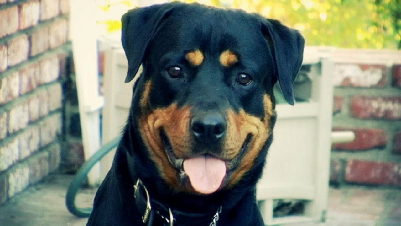 DJ Dstrukt (UTT) on Vimeo