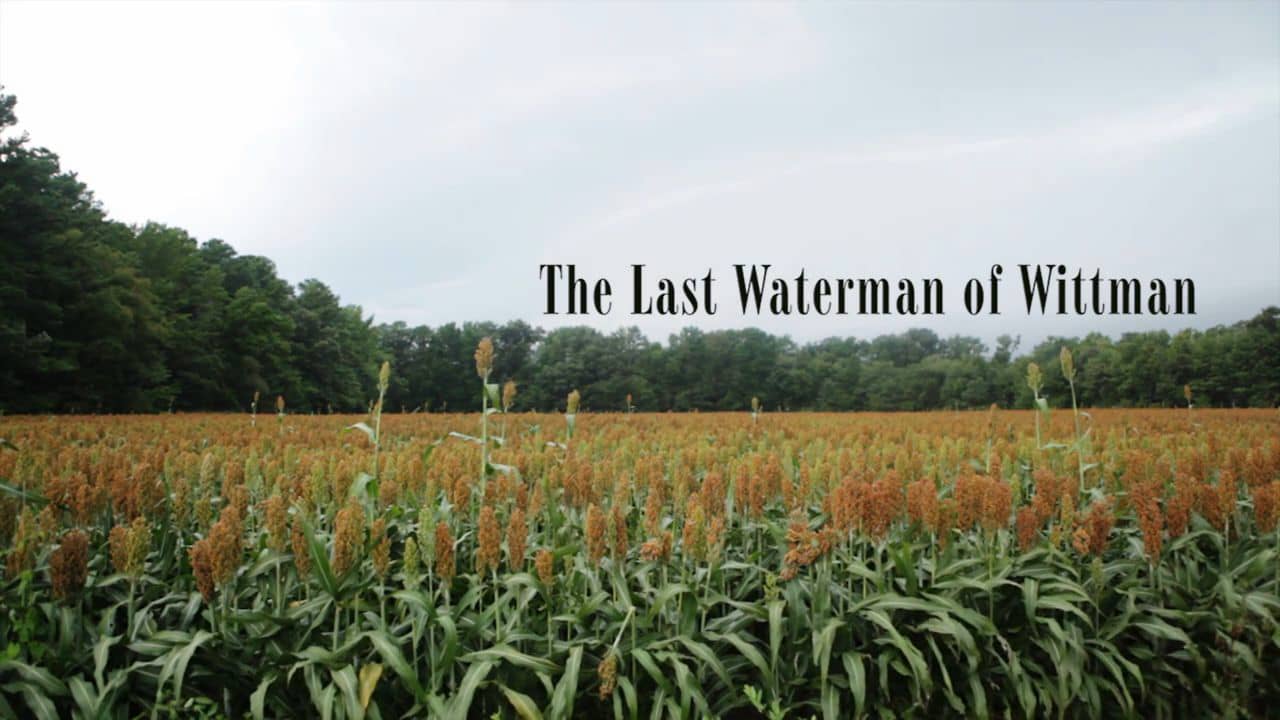 The Last Waterman of Wittman on Vimeo