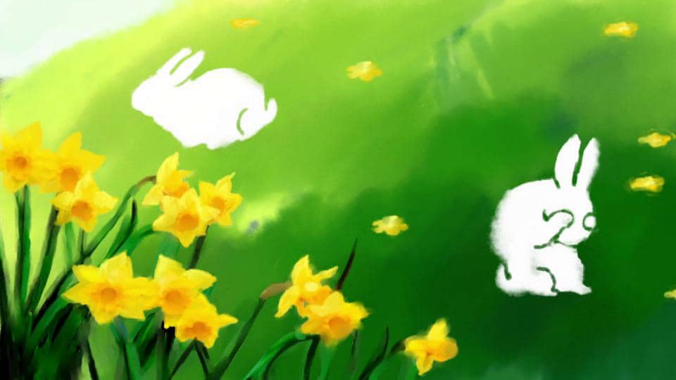 A Short Animation about Rabbits on Vimeo