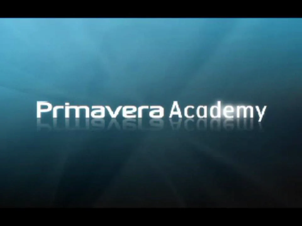 PRIMAVERA Business Software Solutions | Rowan Gibson | Spot Pub 15''