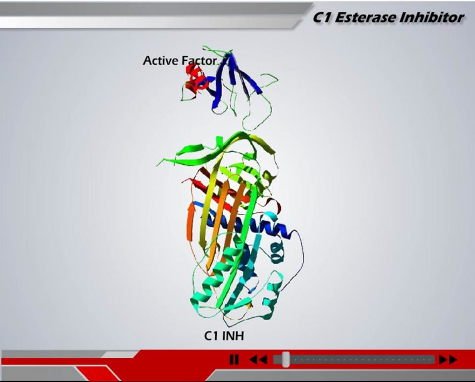 C1 Esterase Inhibitor - Medical Animation on Vimeo