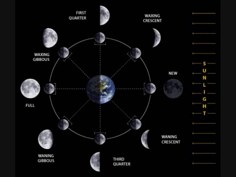 The Moon Dance on Vimeo
