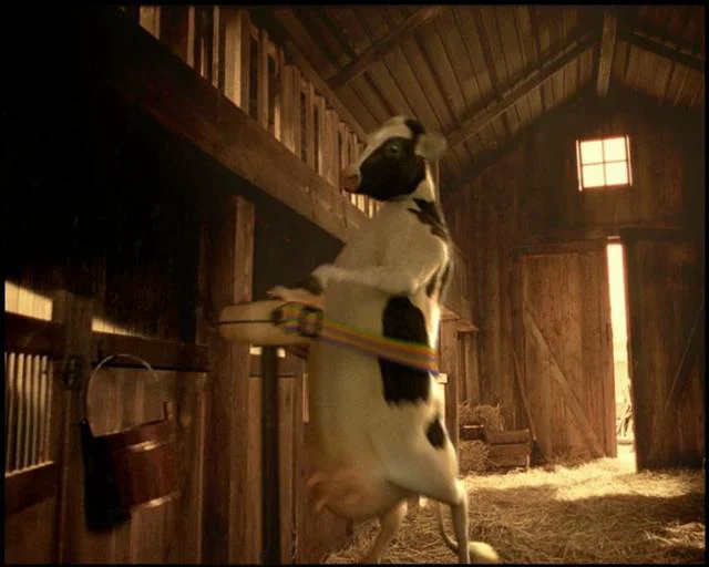 Nestle - Cow Shake