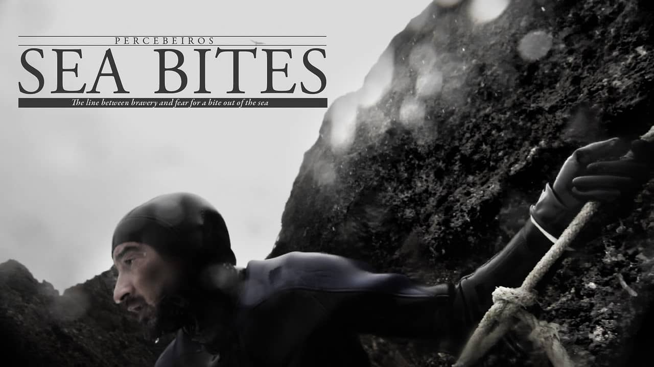 Sea Bites (english subtitles) on Vimeo
