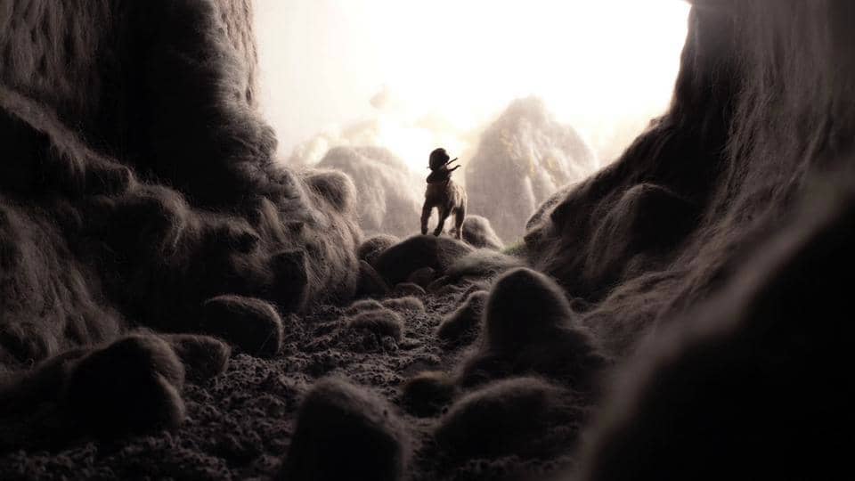 Oh Willy... trailer on Vimeo