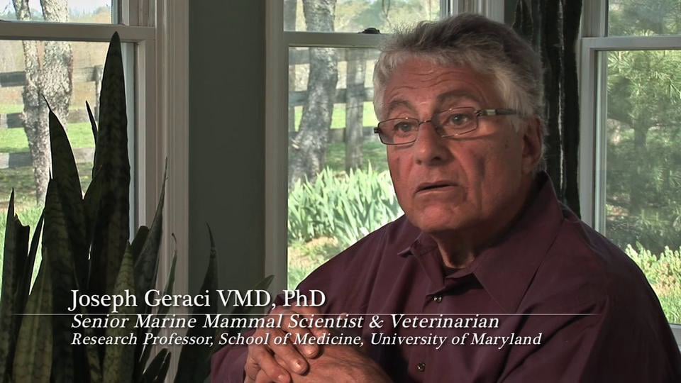 Joseph R. Geraci - Advice to Students on Vimeo