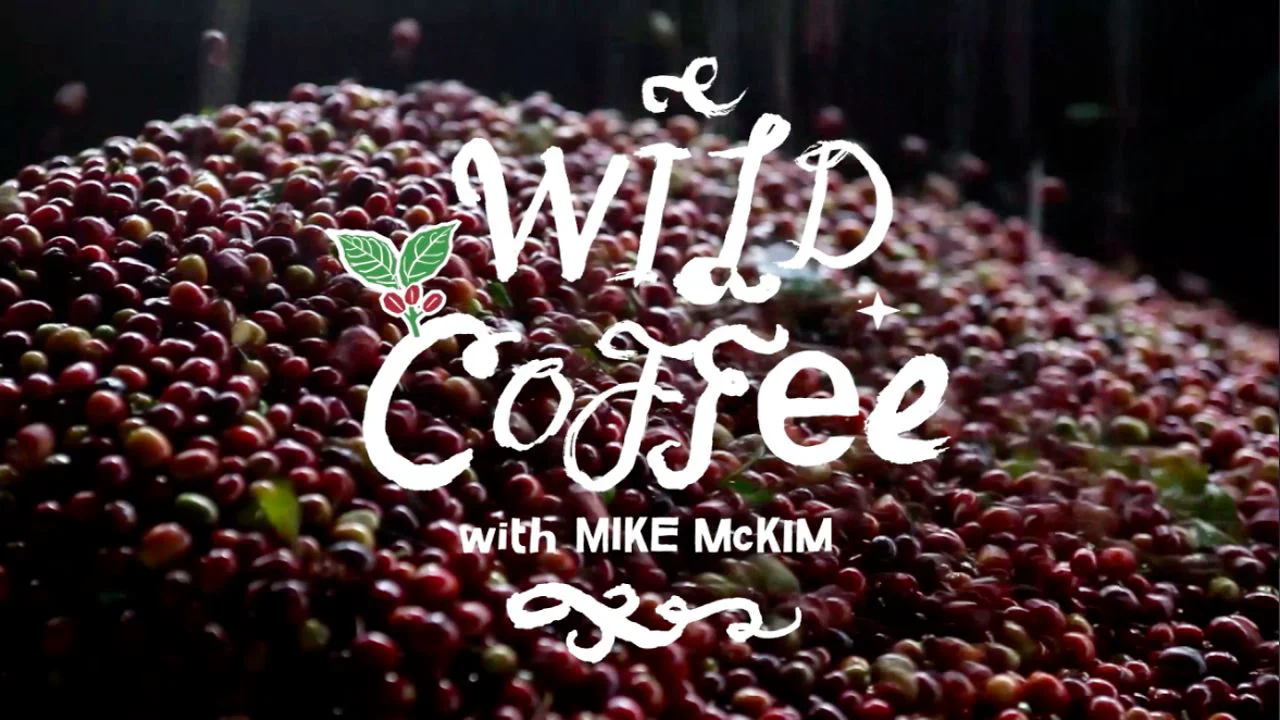 Wild Coffee on Vimeo