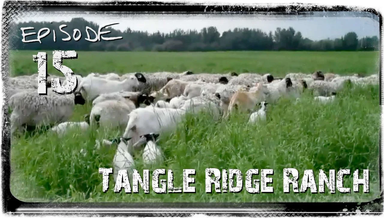 Episode 15 - Tangle Ridge Ranch on Vimeo