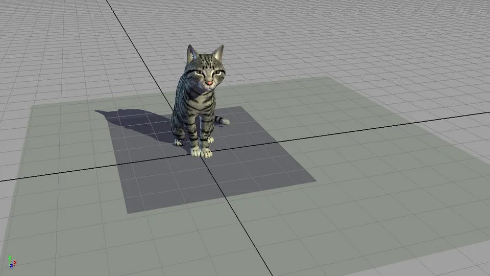 real time cat animations