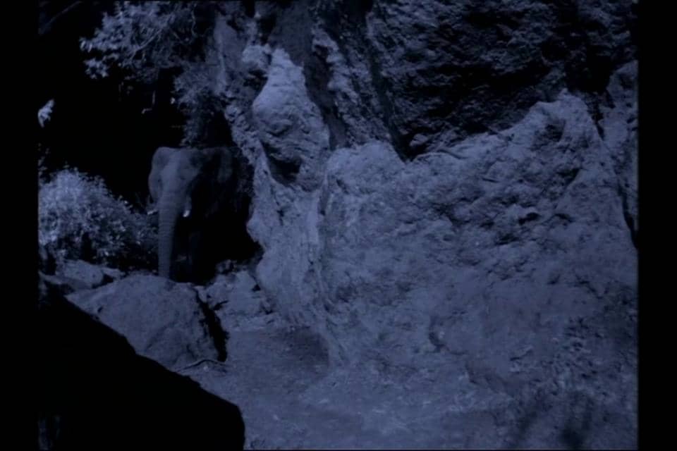 Elephant Cave - The Salt-mining Elephants of Elgon on Vimeo