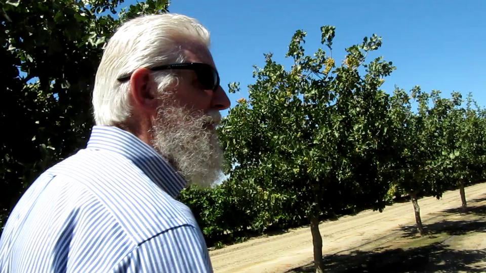 Grower Larry Lowder: A mature pistachio orchard on Vimeo