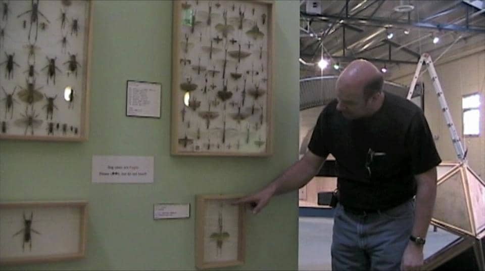 OLIVER GREER'S SPECTACULAR INSECT COLLECTION on Vimeo