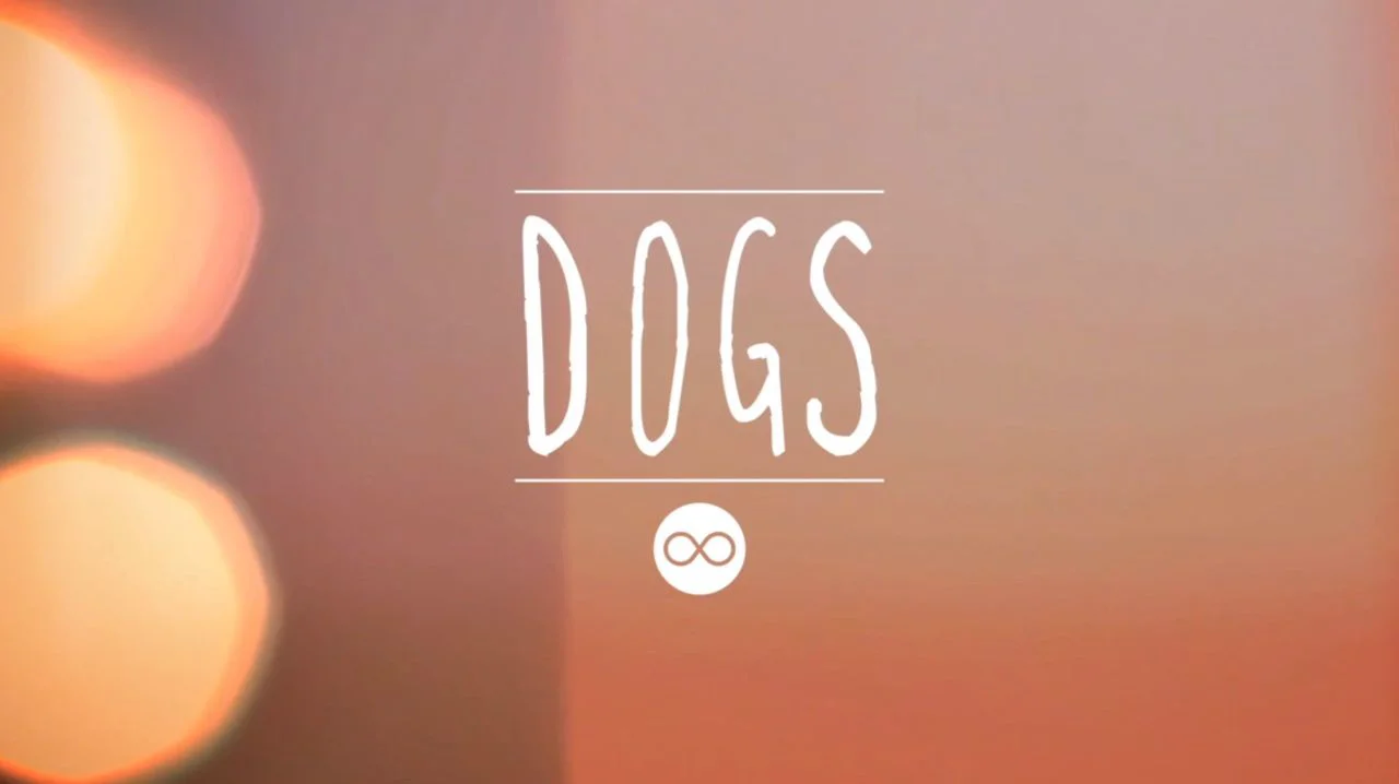 Dogs on Vimeo