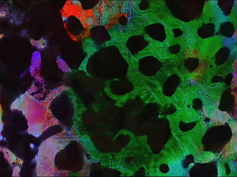 Myron Ort: Phantom Ore