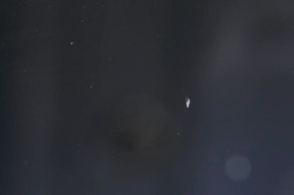 Worm swimming with corkscrew motion on Vimeo