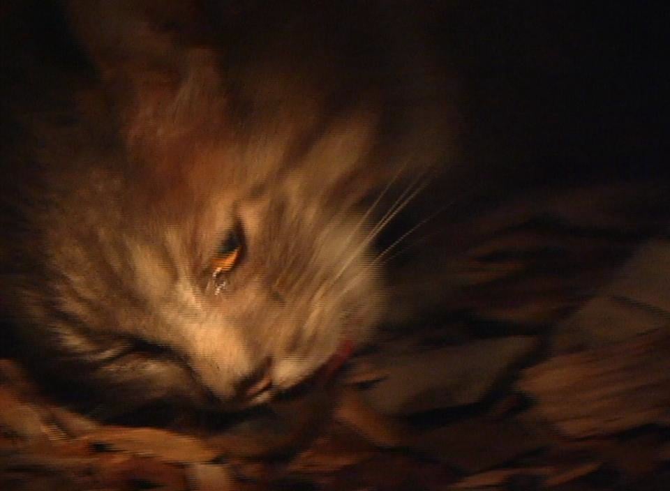 Small Secrets on Vimeo