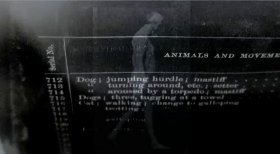 Collection - Genus, Paris Opera House (live recording version) on Vimeo