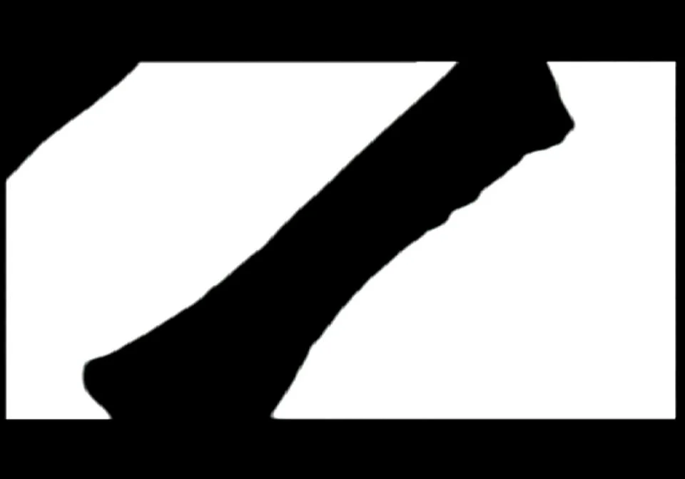 Alex Reuben "Que pasa" - CHOREOGRAPHIC CAPTURES 2008